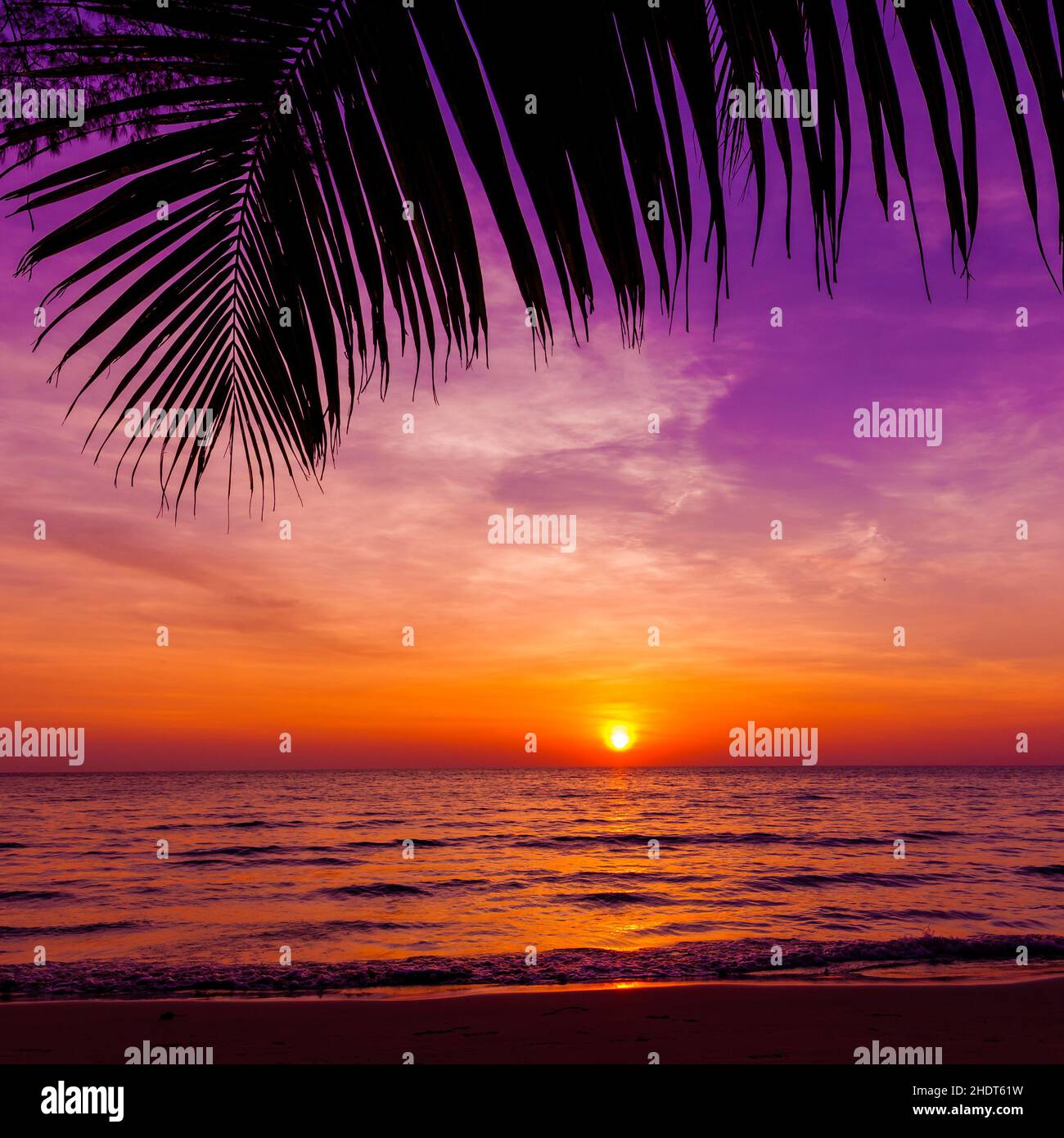 sunset, tropics, sunsets, tropic Stock Photo - Alamy