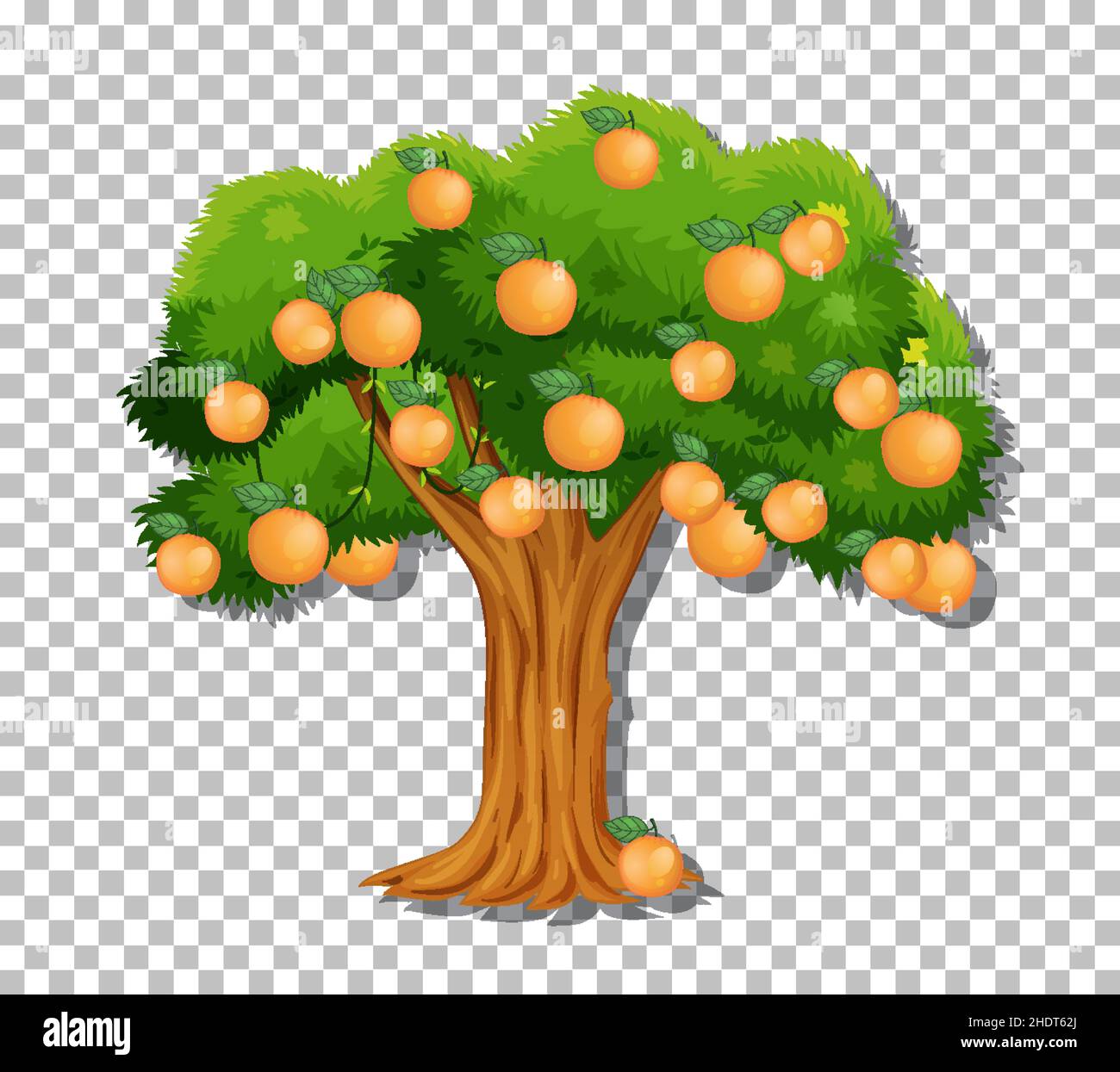 Orange tree on transparent background illustration Stock Vector Image ...
