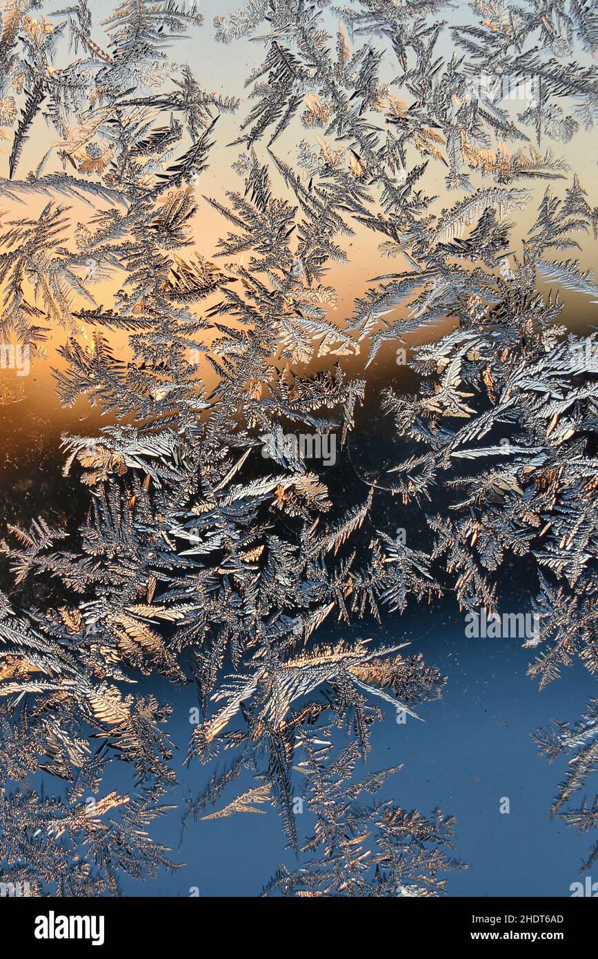 frots pattern, frots patterns, patterns Stock Photo - Alamy