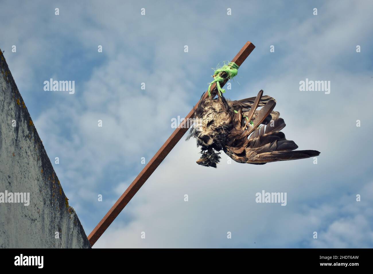 Hanged gallows hi-res stock photography and images - Alamy