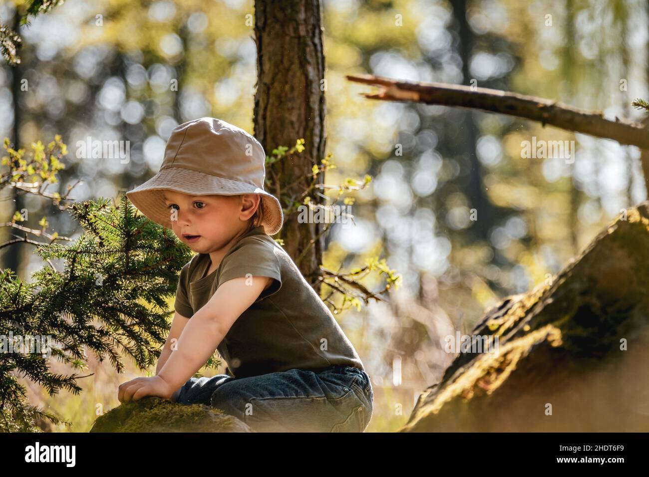 boy, forest, nature, boys, forests, wood, woodland, woods, natur ...