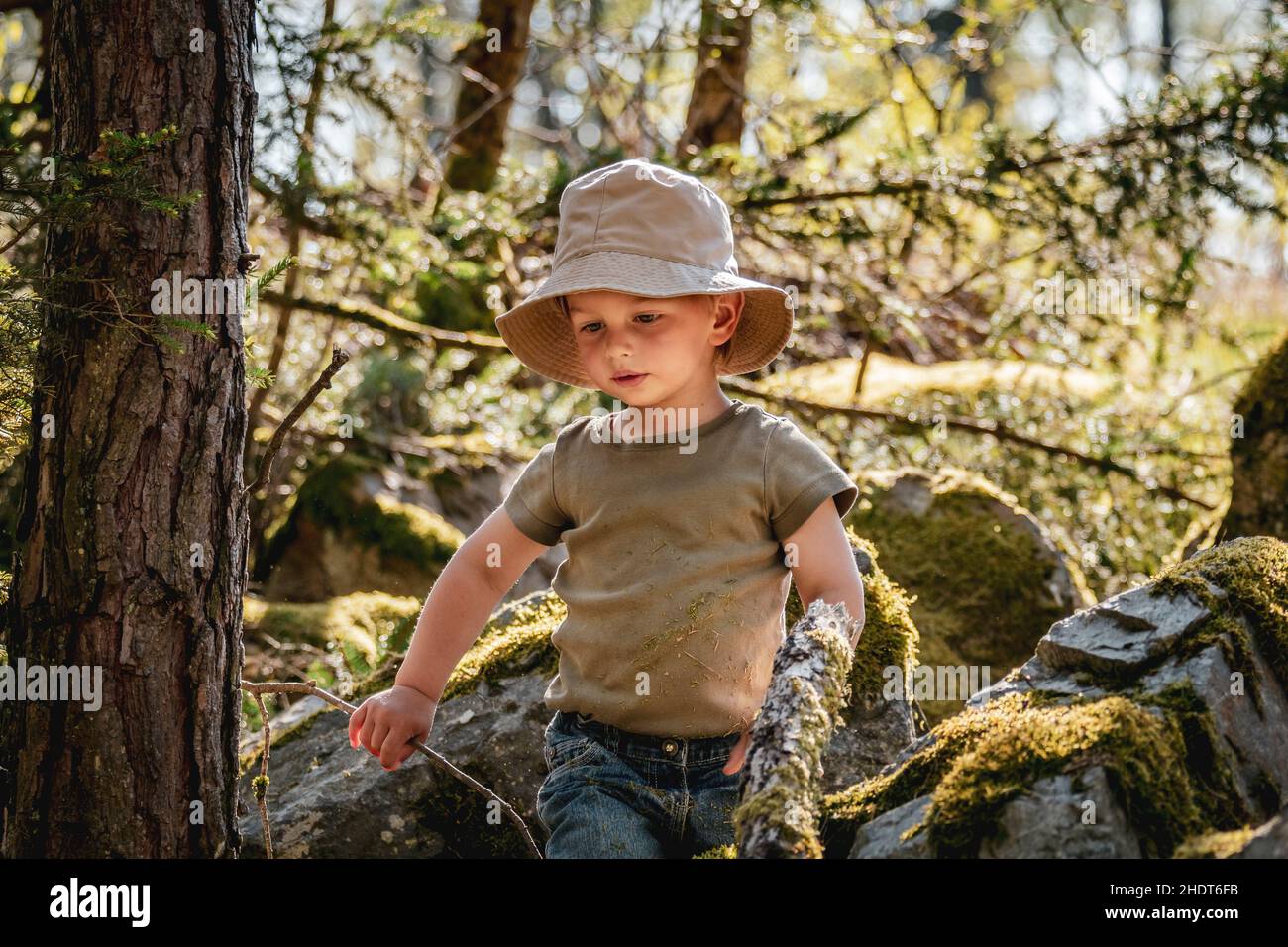 boy, forest, playing, boys, forests, wood, woodland, woods, play Stock ...