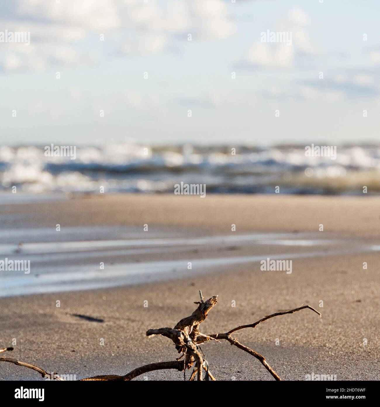 beach, sea, jetsam, beaches, seaside, seas, jetsams Stock Photo - Alamy