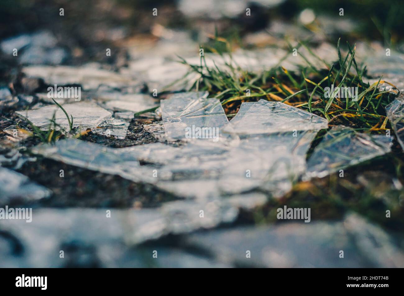 ground frost, frost, ground frosts Stock Photo - Alamy