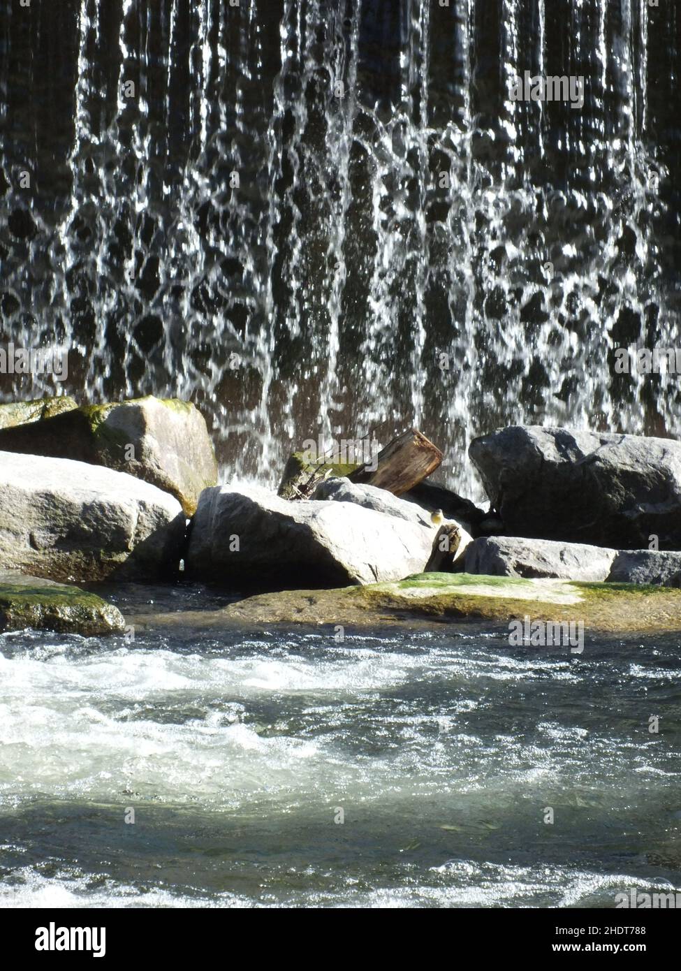 waterfall, torrent, cascade, waterfalls, torrents Stock Photo - Alamy