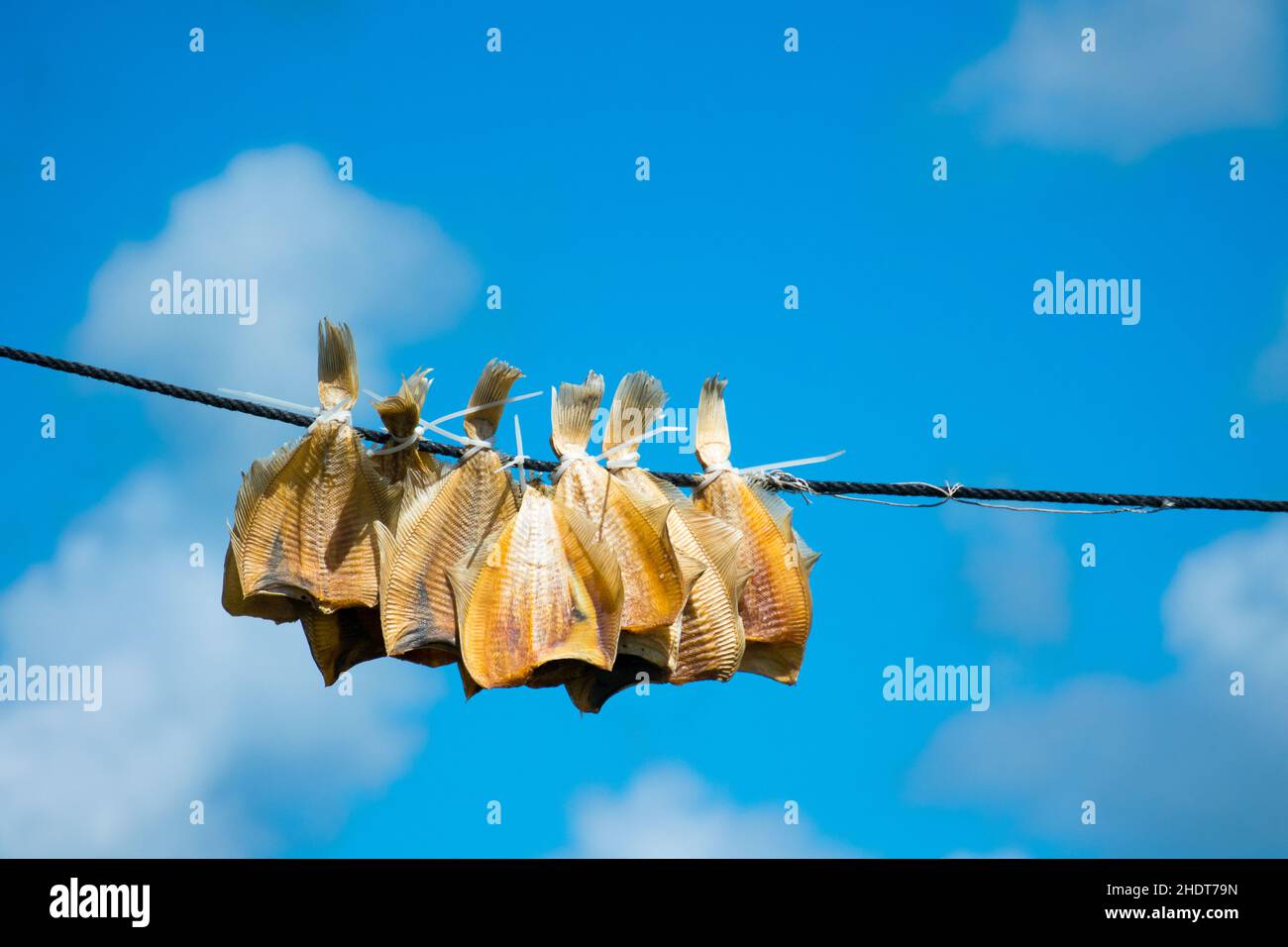 dried fish, stockfish, flounder, dried fishes, stockfishs, flatfish ...