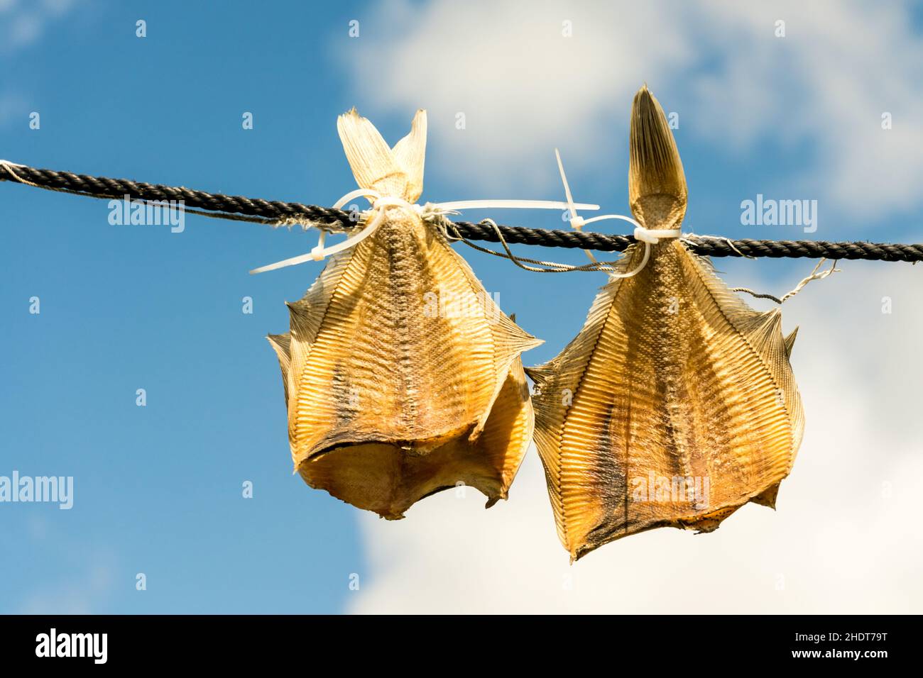 prepared fish, dried fish, stockfish, flounder, prepared fishs, dried ...