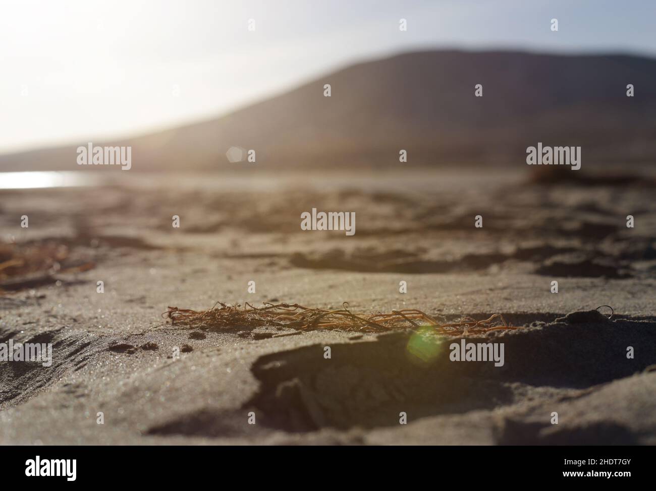 beach, sandy, beaches, seaside, sandies Stock Photo - Alamy