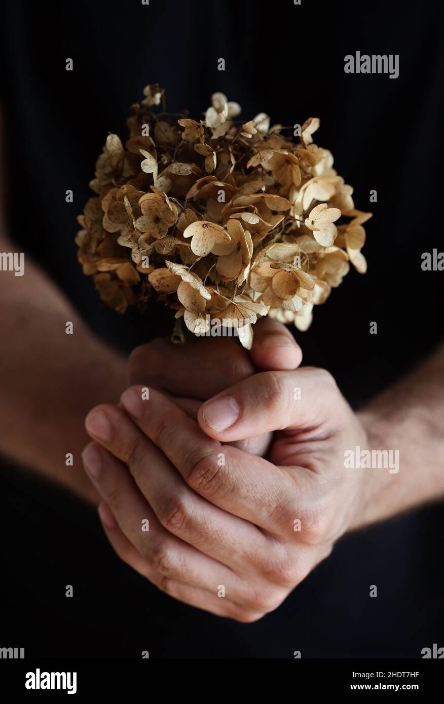 bouquet, mourning, dried plant, farewell, bouquets, dried plants ...
