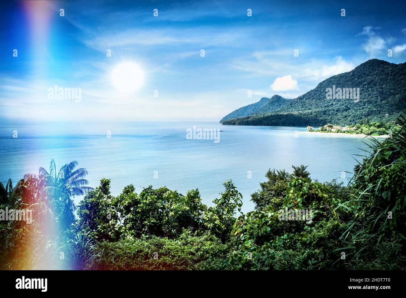 jungle, pacific ocean, borneo, rainforest, pacific oceans, borneos ...