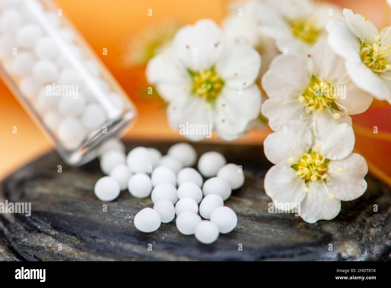 Bach flowers hi-res stock photography and images - Alamy