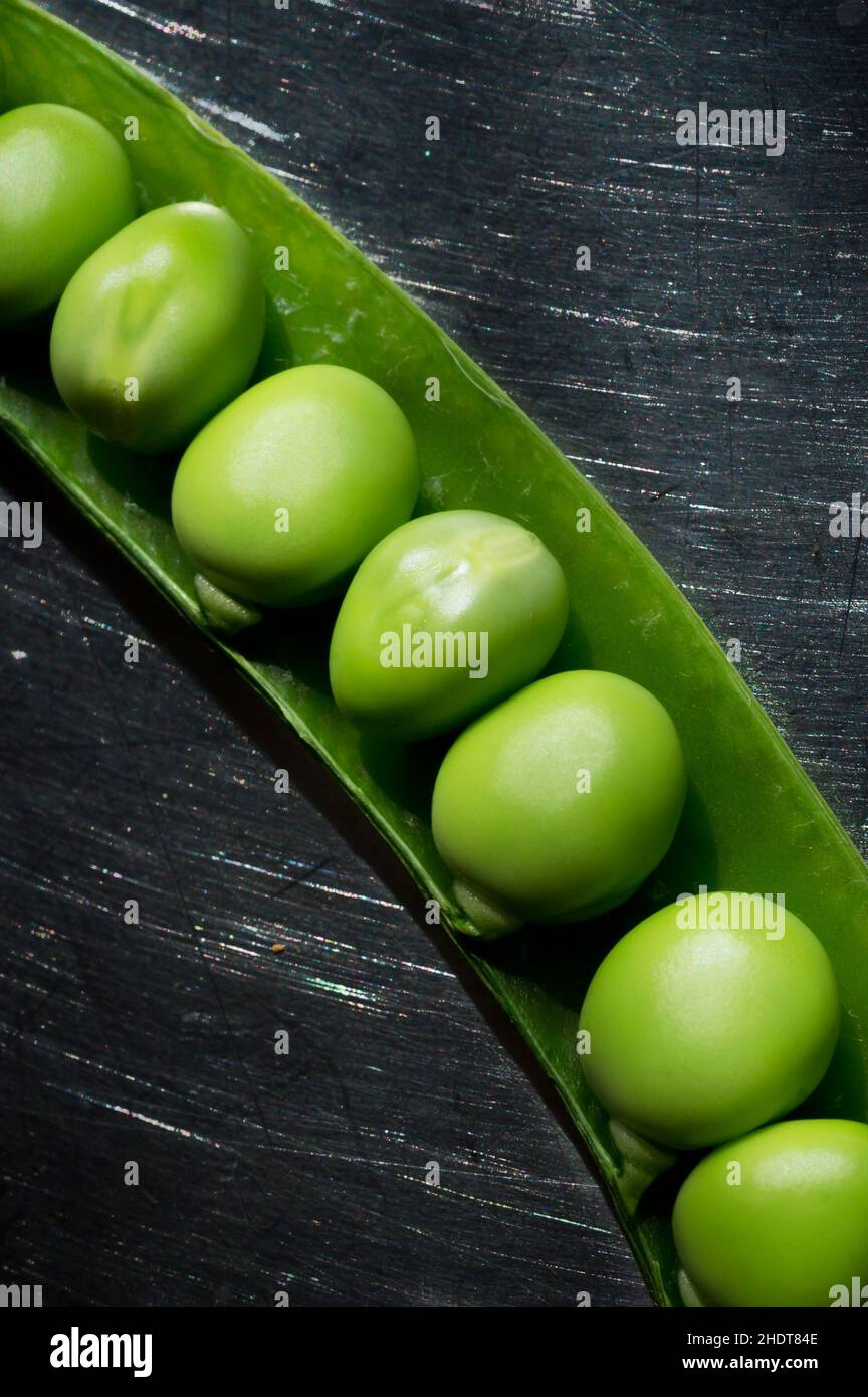 legume, pea pod, pea family, legumes, pea pods, pea families Stock ...