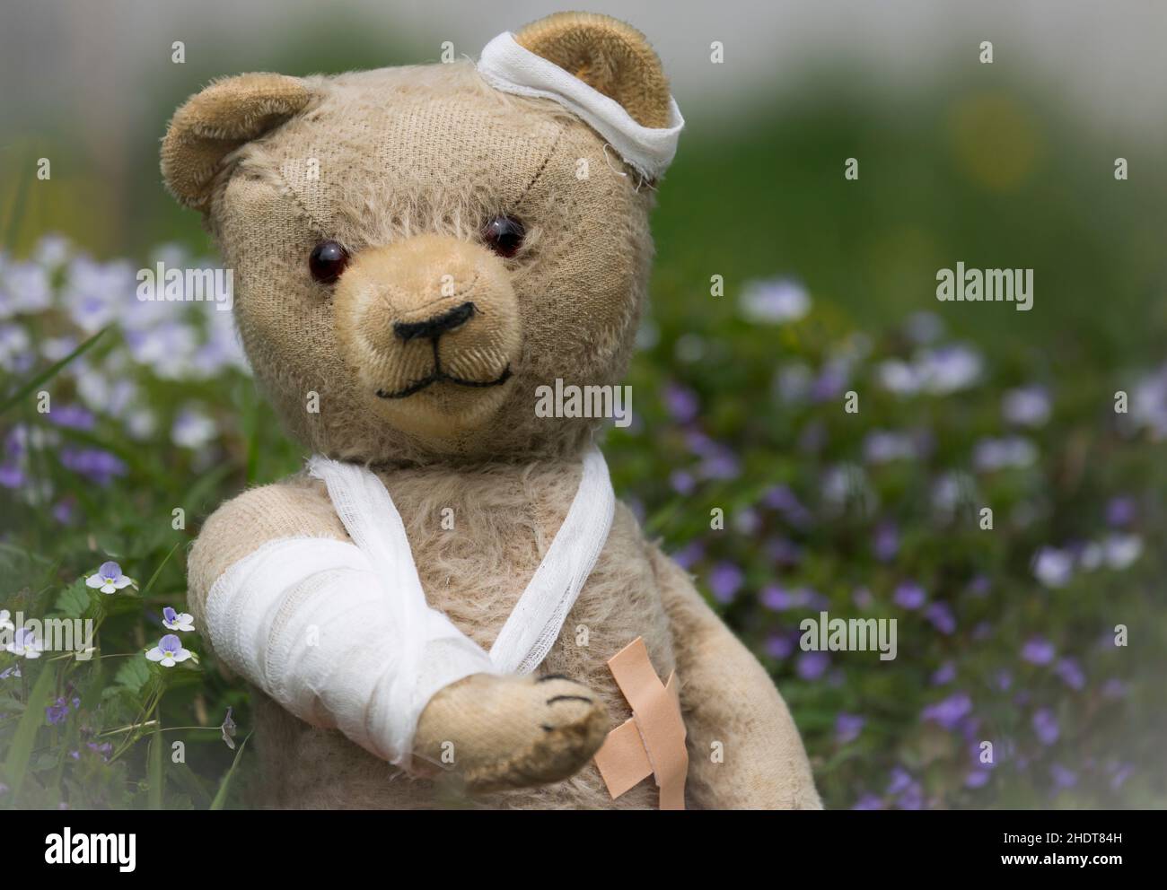 teddy bear, convalescent, teddy bears, convalescents, recovery Stock ...