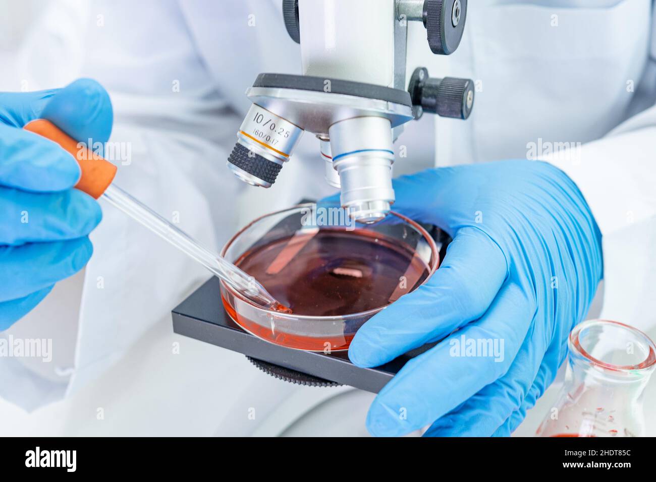 Asian scientist biochemist or microbiologist working research with a ...