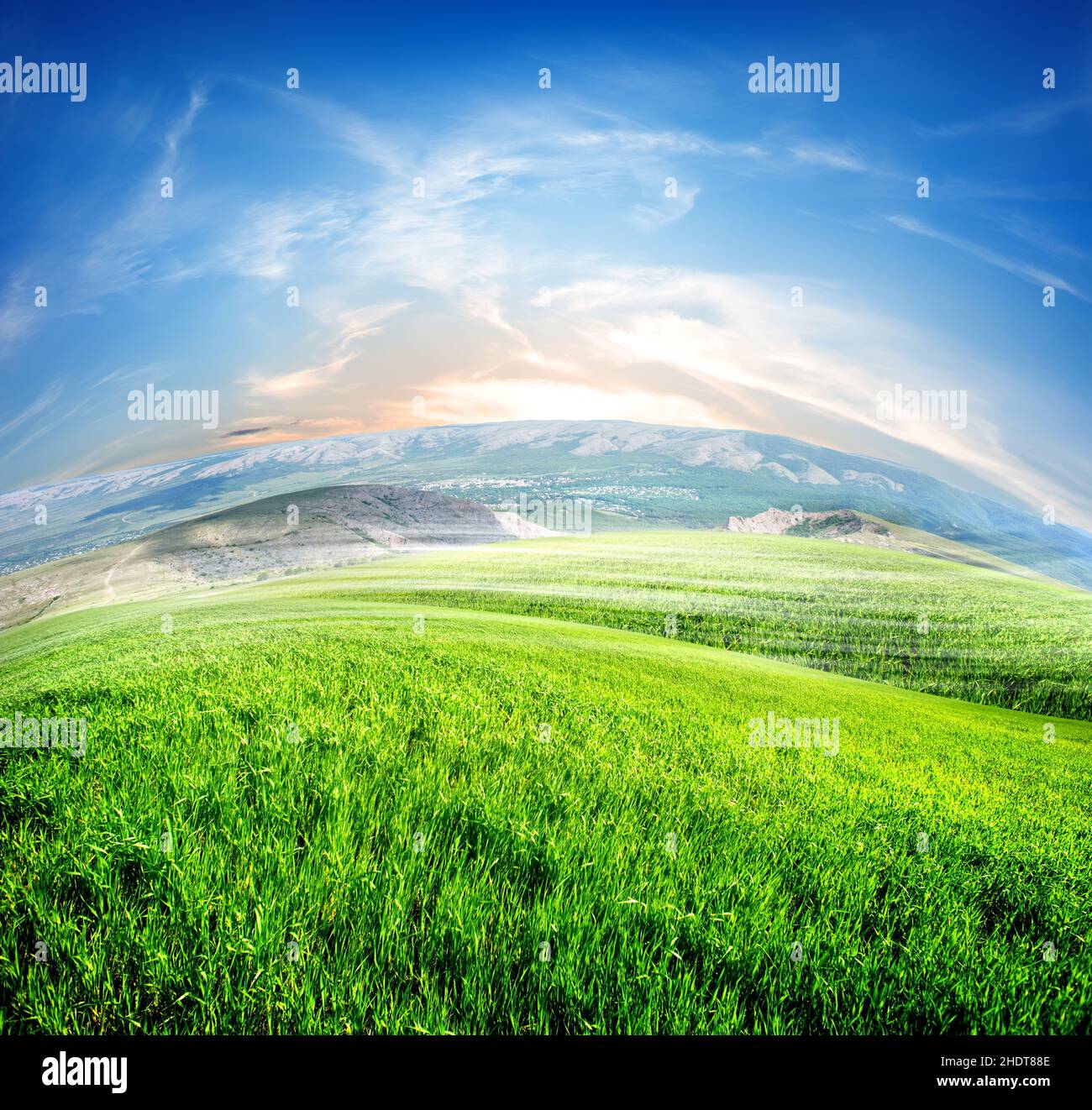 landscape, field, landscapes, rural, rural scene, scene, scenery ...