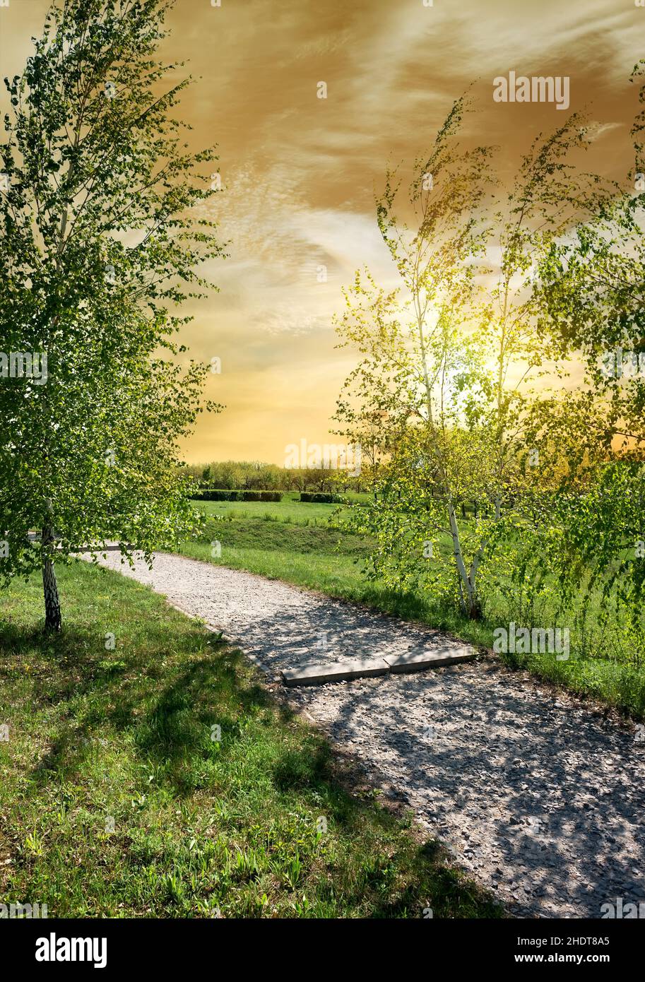 landscape, park, landscapes, rural, rural scene, scene, scenery, scenes ...