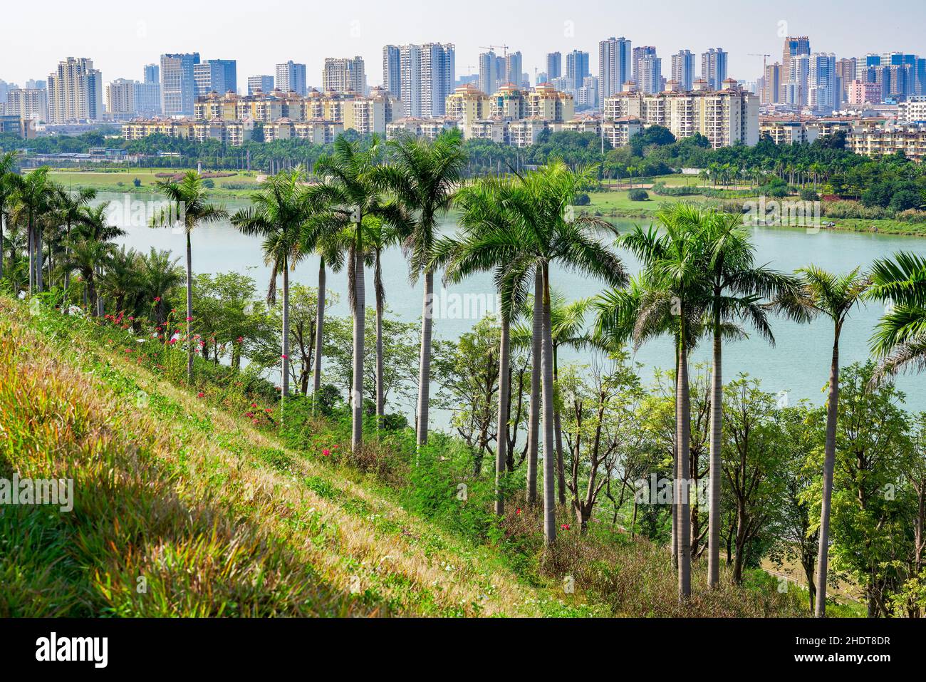 Forest river flow and cityscape in Jiangbin Park, Nanning, Guangxi ...