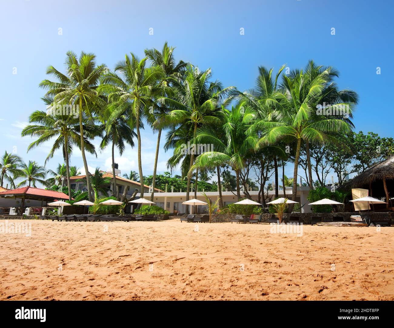 sri lanka, tourist resort, ceylon, sri lankas, resort, resorts, tourist ...