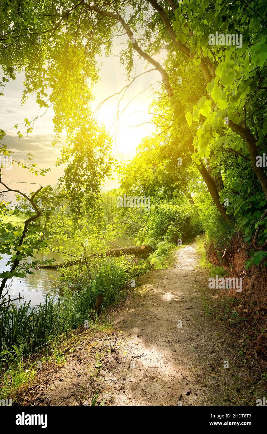 backlighting, sunlight, trail, back lit, sun ray, sun rays, sunbeam ...