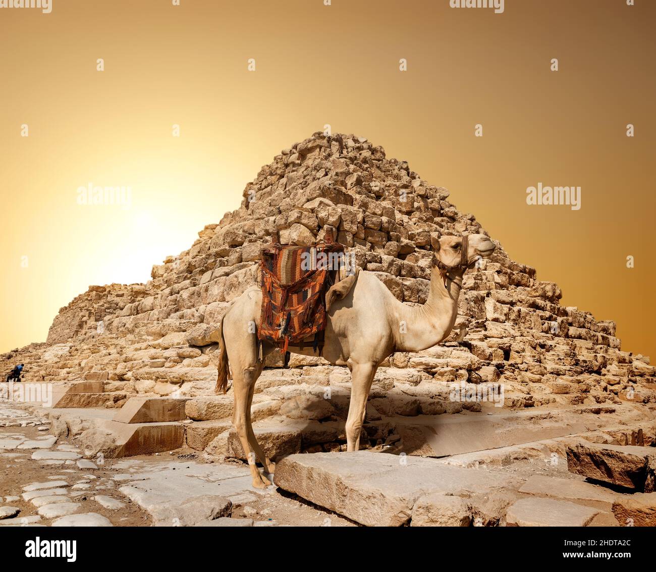 egypt, pyramid shape, camel, egyptian, egypts, pyramid shapes, camels ...