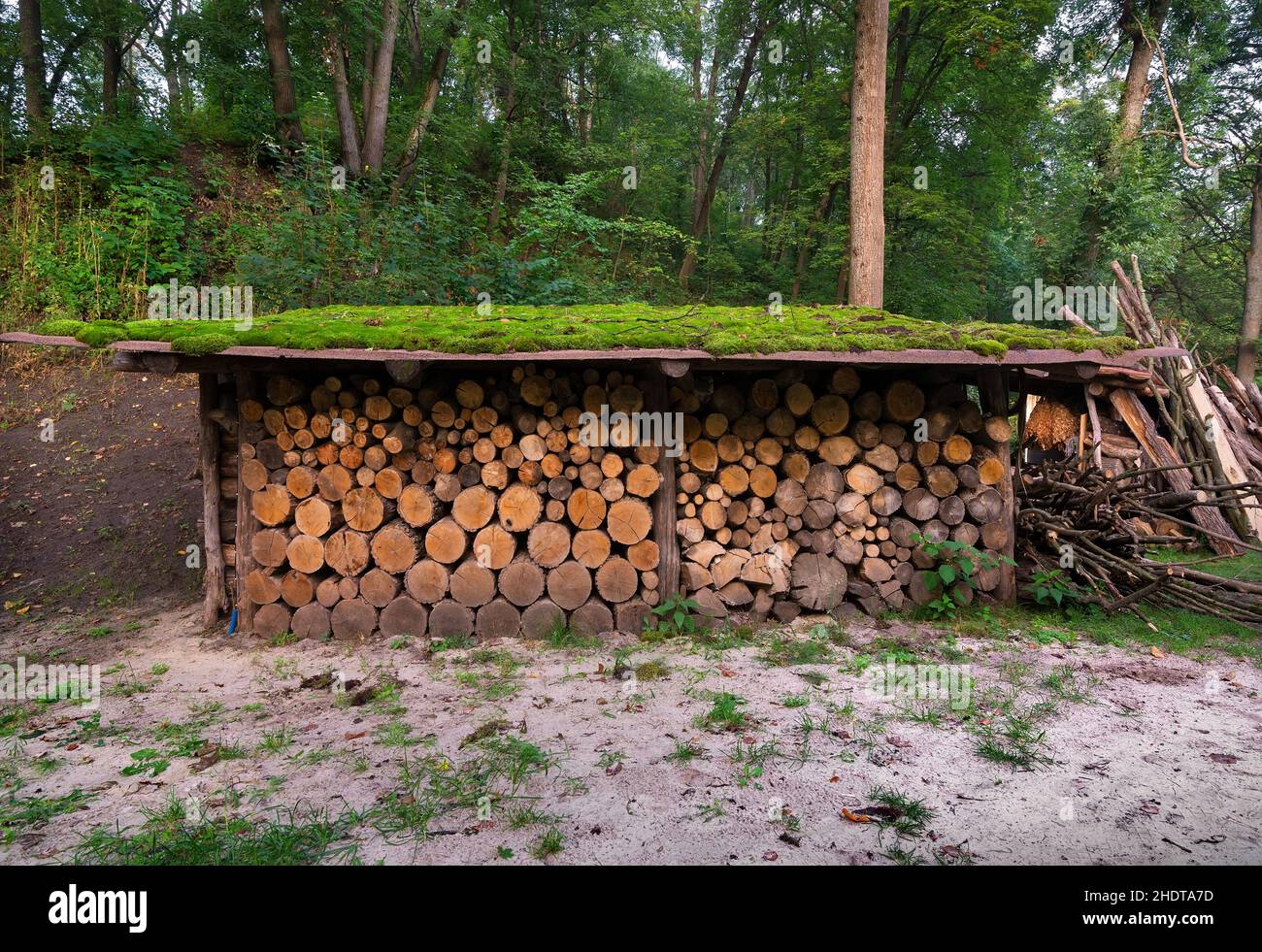 wood, wood pile, firewood, woodland, woodlands, woods, wood piles ...