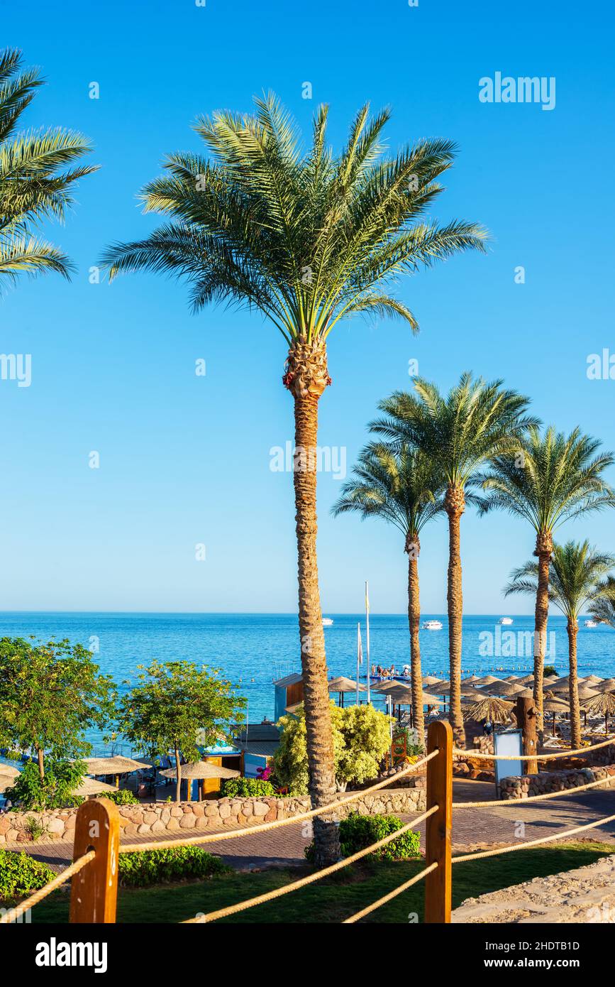 egypt, Sharm el-Sheikh, egyptian, egypts Stock Photo - Alamy