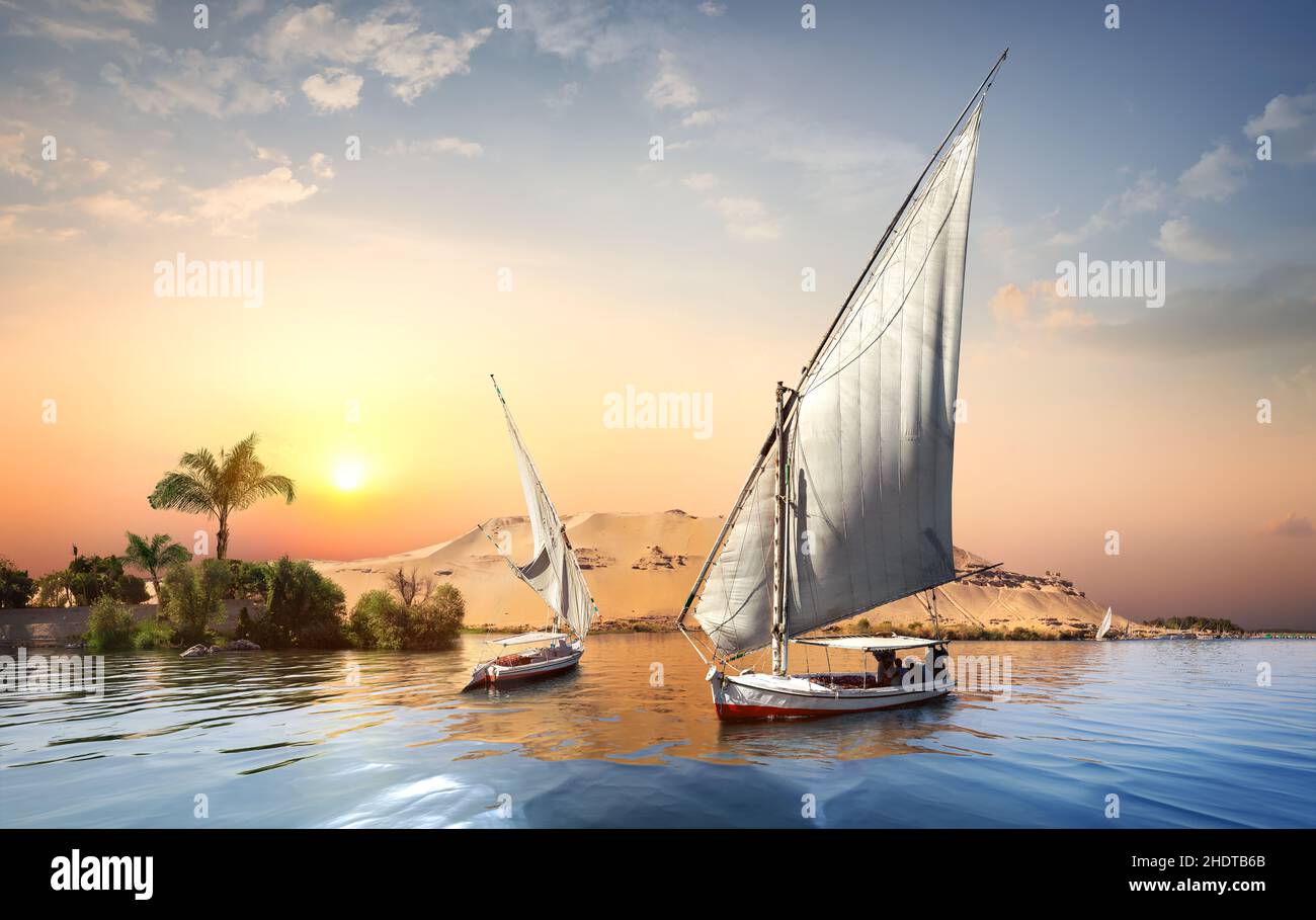 sailboat, nile river, sailboats, sailing, sailing boat, sailing boats ...