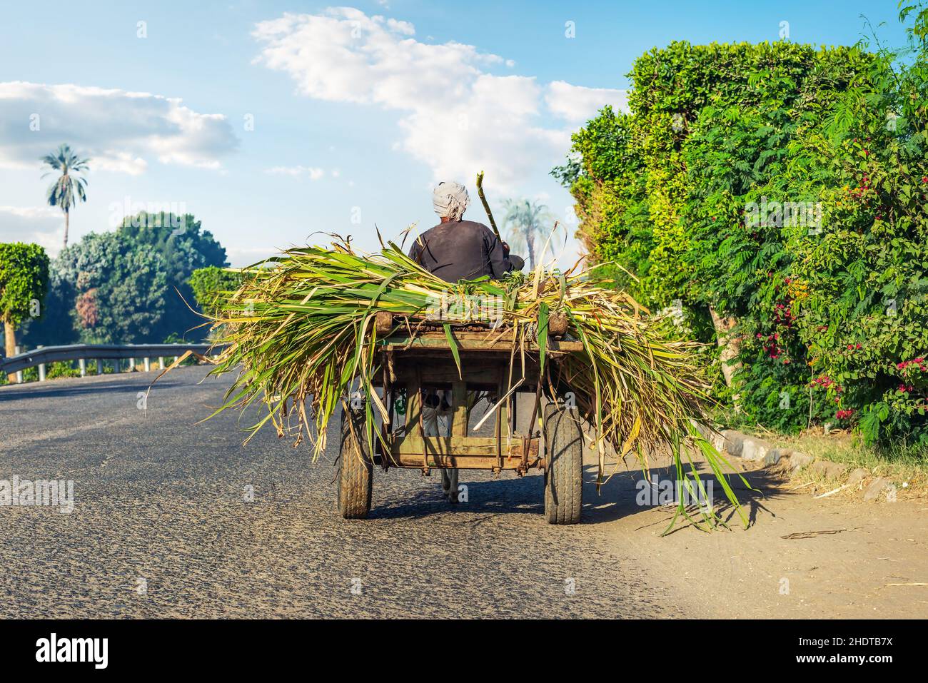 rural scene, farmer, egypt, country, country life, rural, rural scenes ...