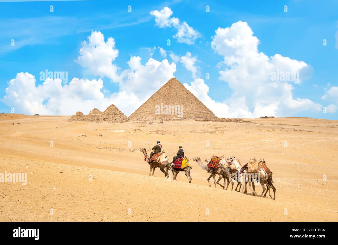 egypt, camels, egyptian, egypts, camel Stock Photo - Alamy