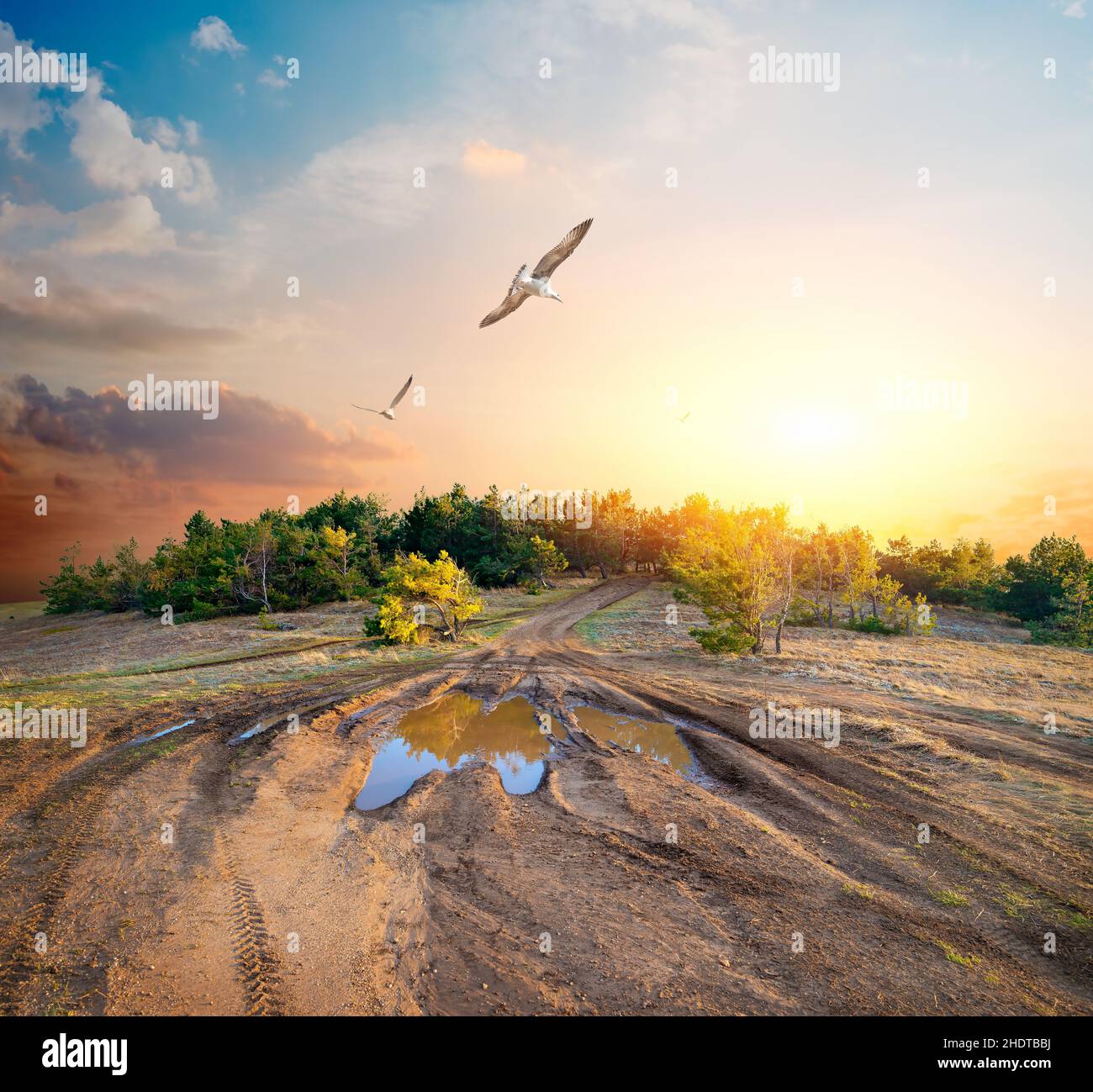 landscape, sunset, puddle, landscapes, rural, rural scene, scene ...