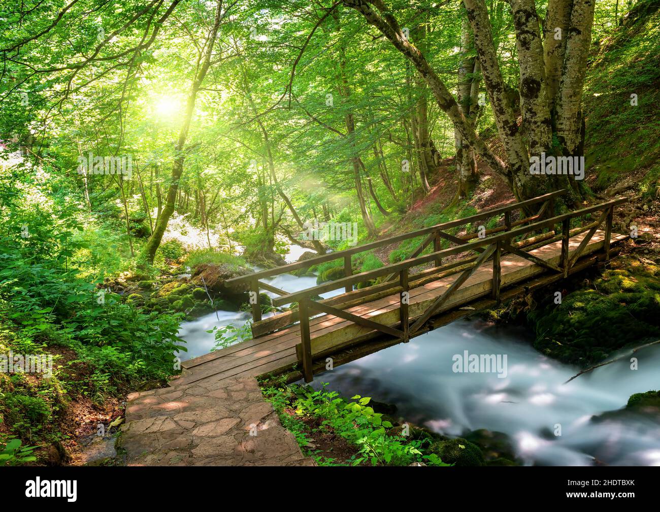 montenegro, durmitor, tara springs park, tara mountain, montenegros ...