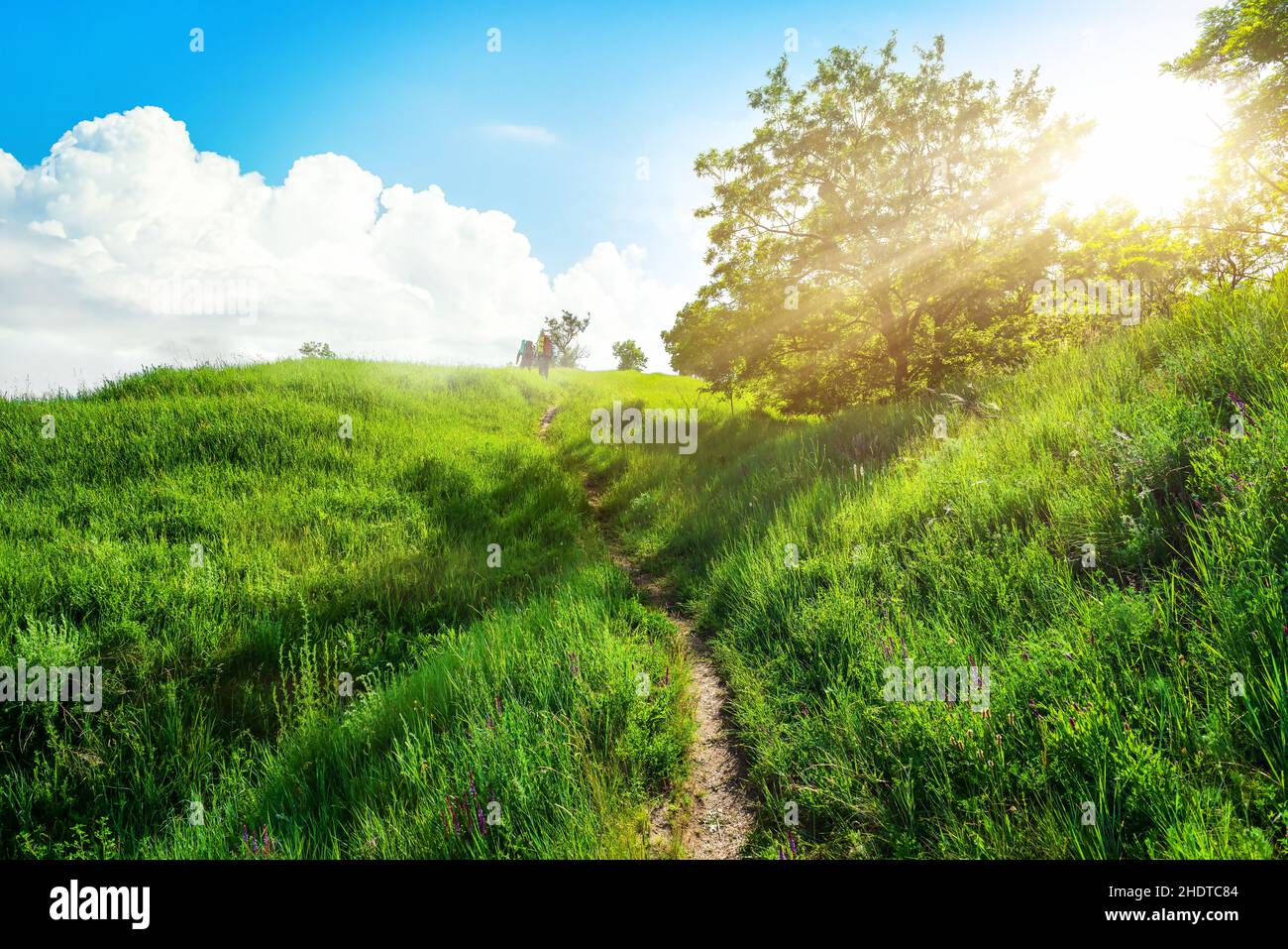 path, trail, dirt road, paths, trails, dirt roads Stock Photo - Alamy