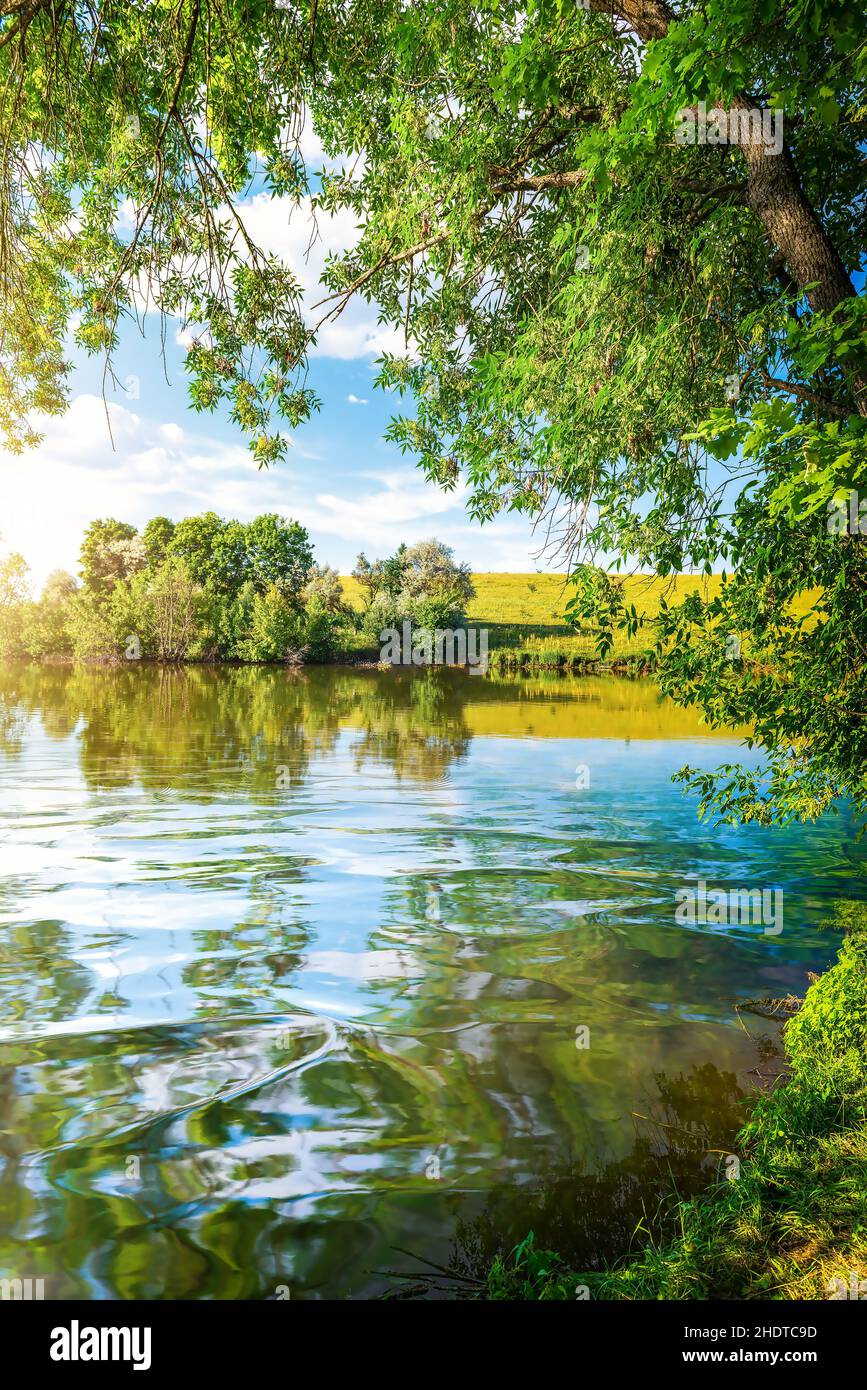 lake, environment, water reflection, lakes, environments, water ...