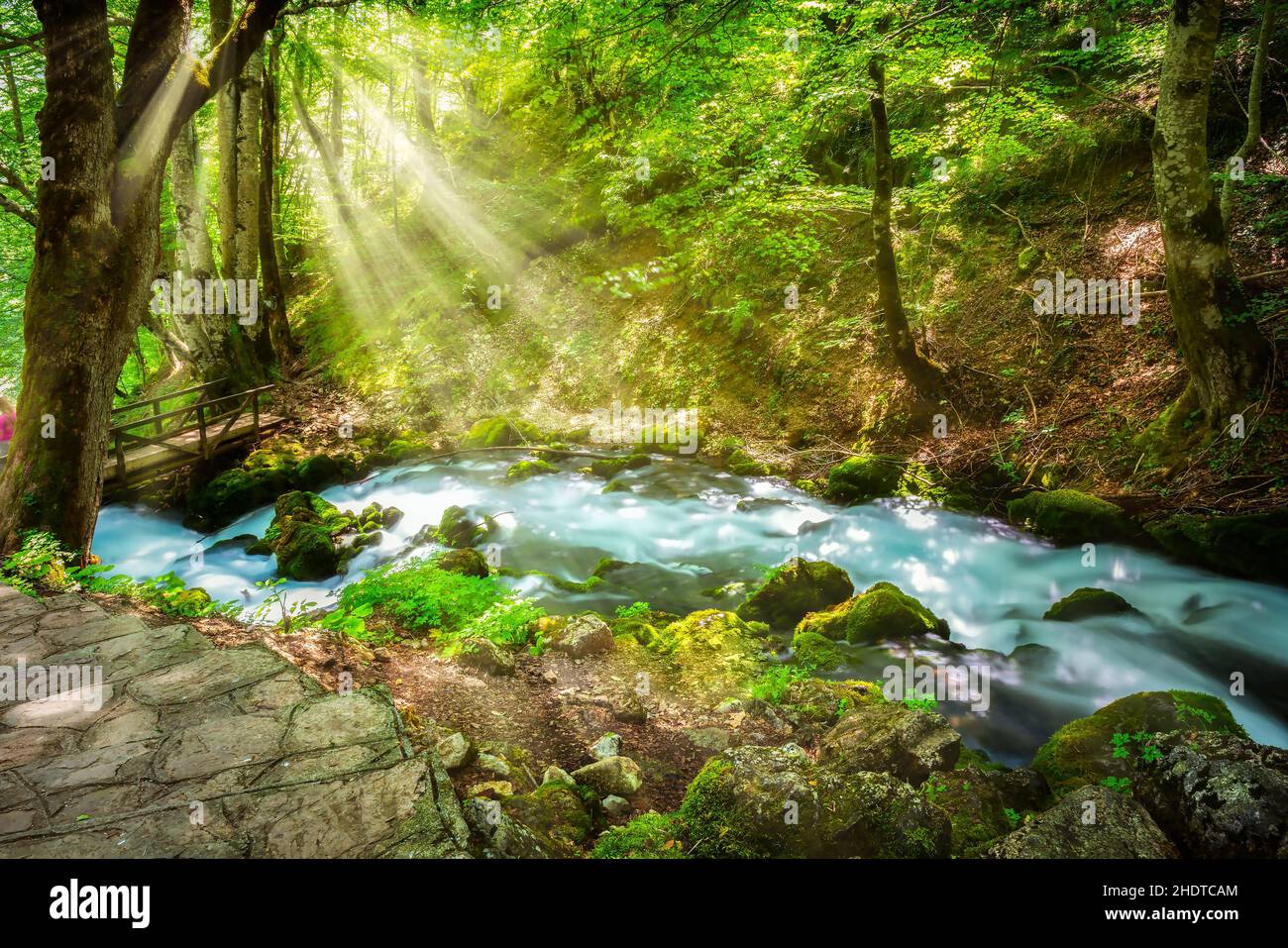 Landscape tara national park hi-res stock photography and images - Alamy