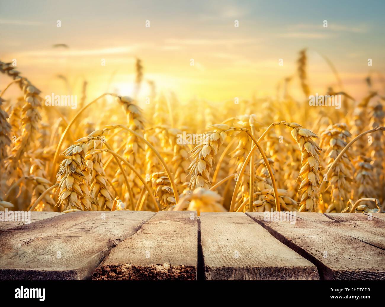wooden table, wheat field, wooden tables, wheat fields Stock Photo - Alamy