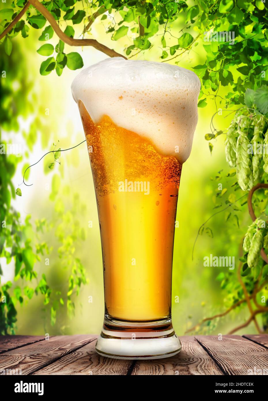 beer, beer glass, beers Stock Photo - Alamy