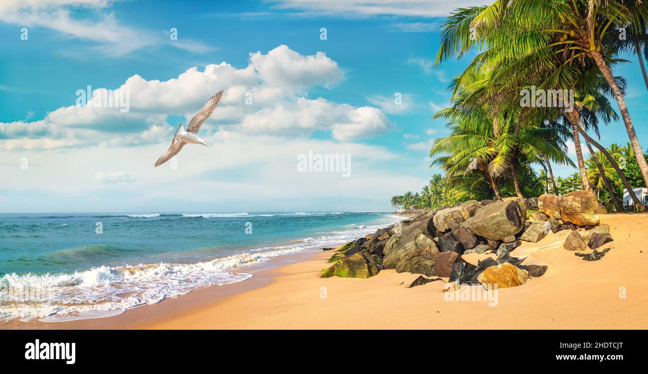 beach, sri lanka, indian ocean, beaches, seaside, sri lankas, indian ...