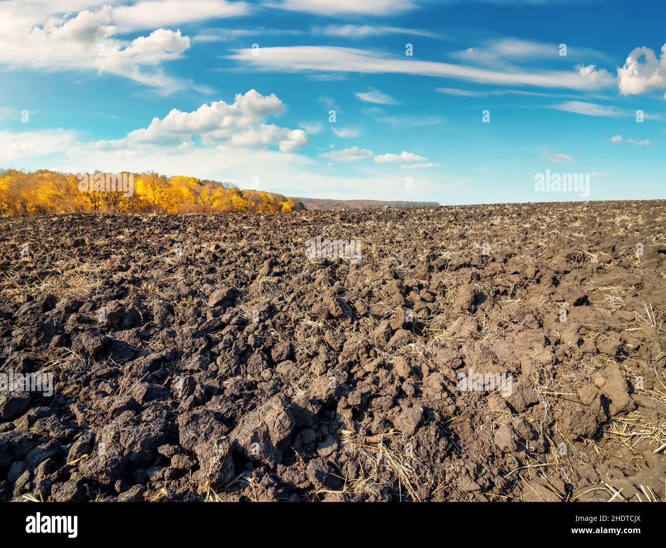 field, arable, earth, fields, arables, earths Stock Photo - Alamy