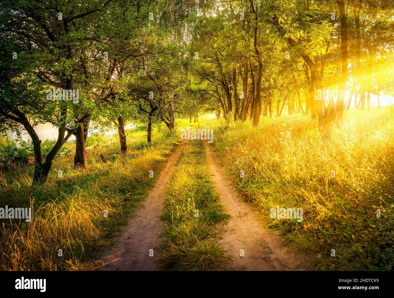 sunlight, sunbeams, dirt, sun ray, sun rays, sunbeam, sunlights, sunray ...