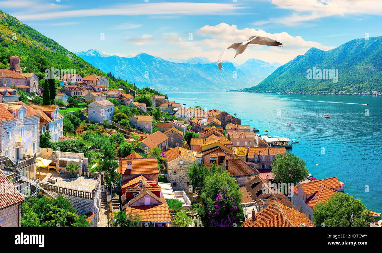Kotor bay kotors hi-res stock photography and images - Alamy