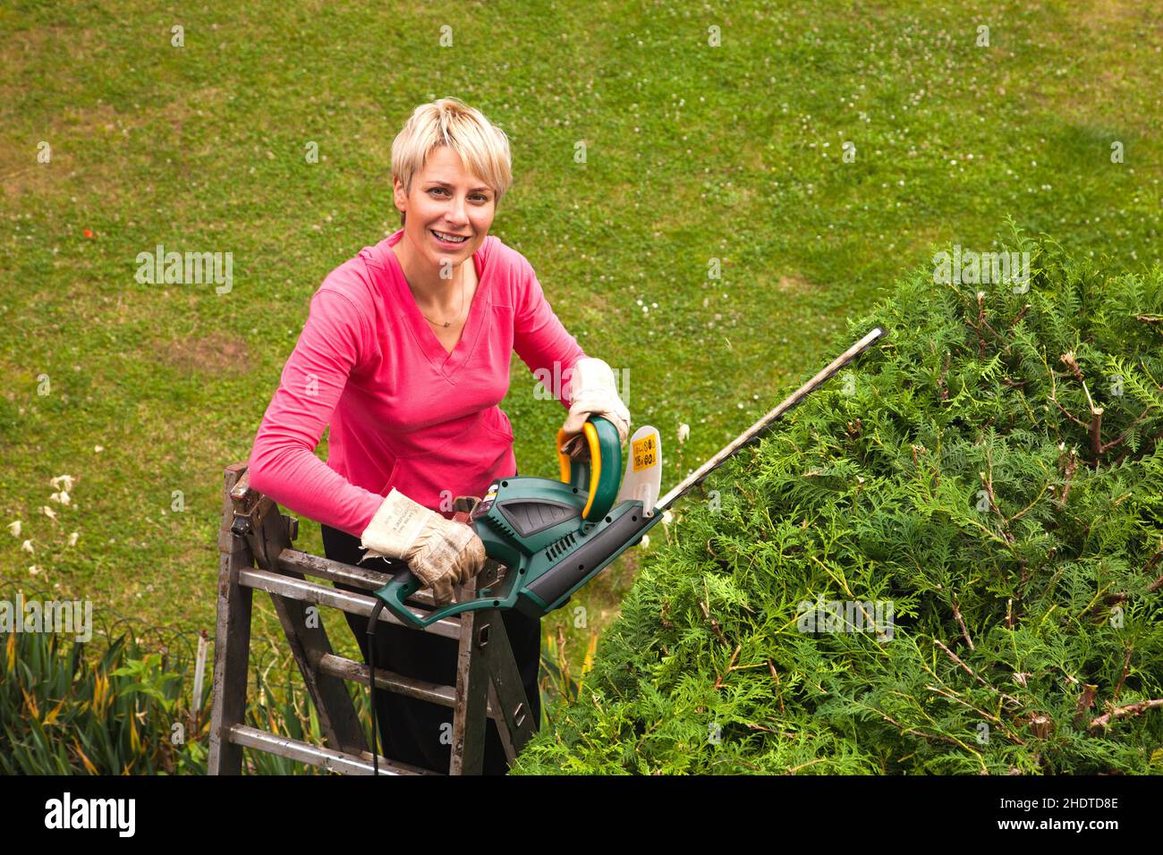 woman, gardening, hedge clippers, female, ladies, lady, women, plant ...