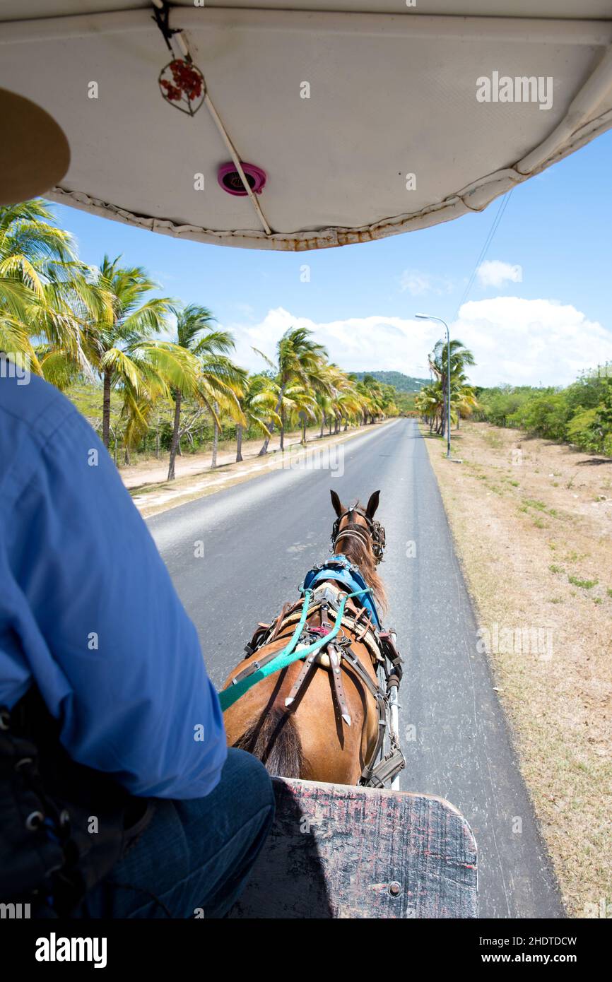 Sleigh ride High Resolution Stock Photography and Images - Alamy