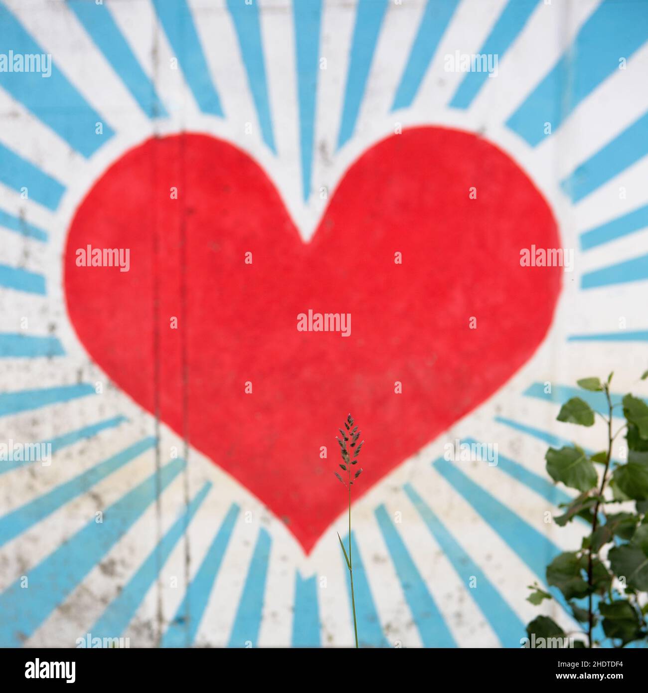 heart, graffiti, hearts, graffitis Stock Photo - Alamy