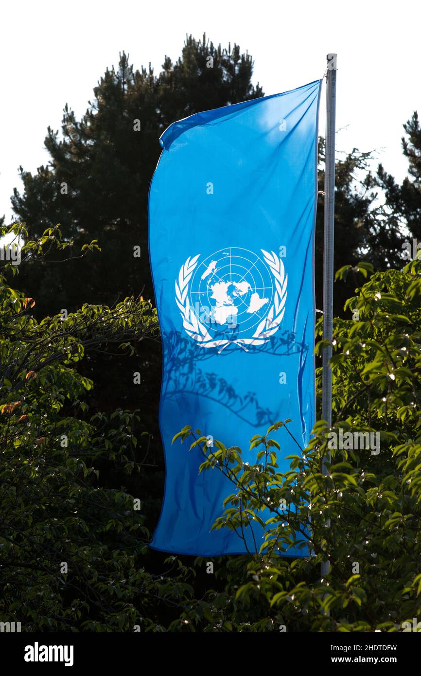 flag, un, united nations, flags Stock Photo - Alamy