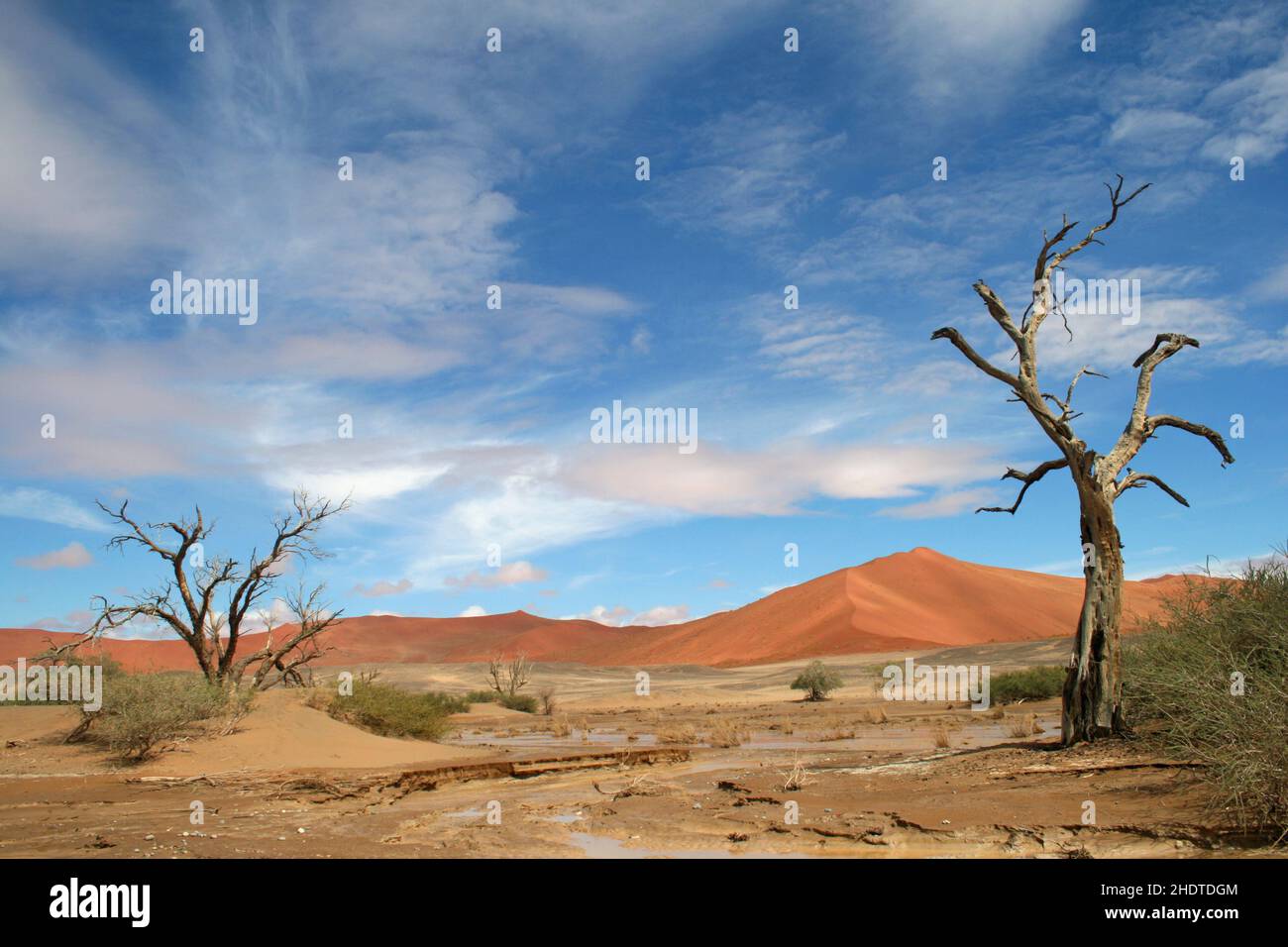 drought, sossusvlei, namib desert, aridity, droughts, drouth, dry ...
