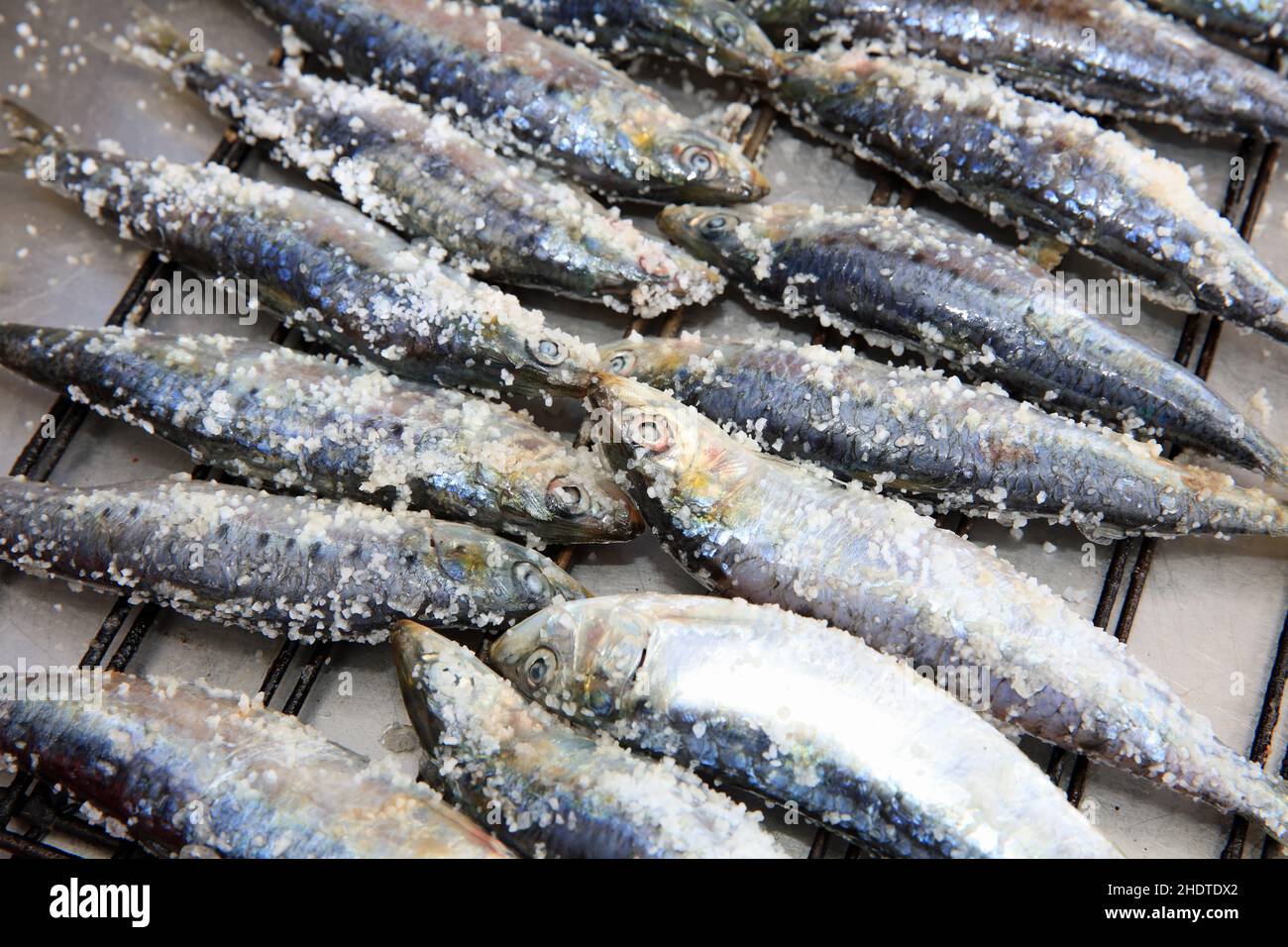 sardines, salted, salteds Stock Photo - Alamy