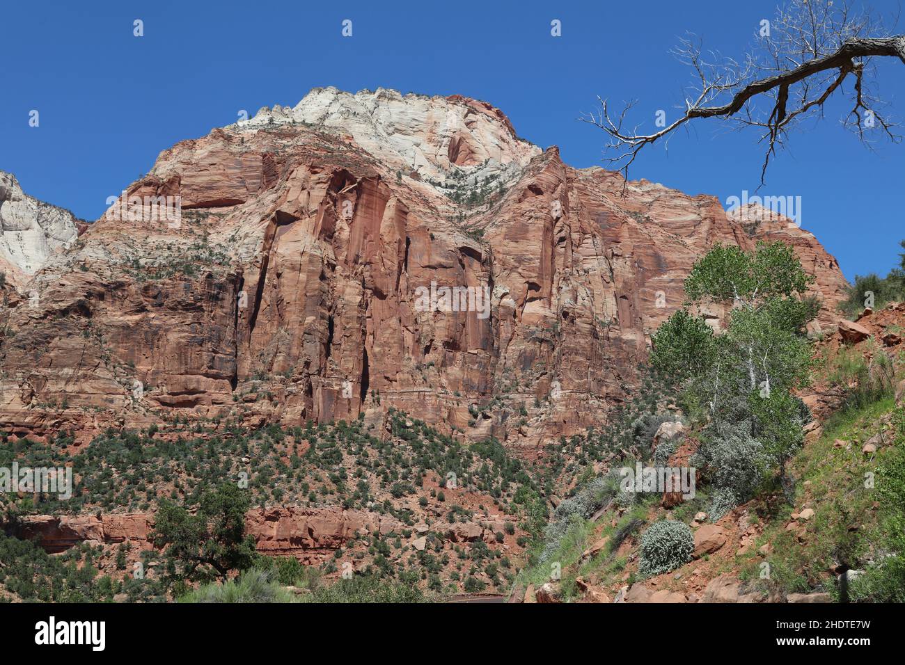 rock formation, red canyon, dixie national forest, rock formations ...
