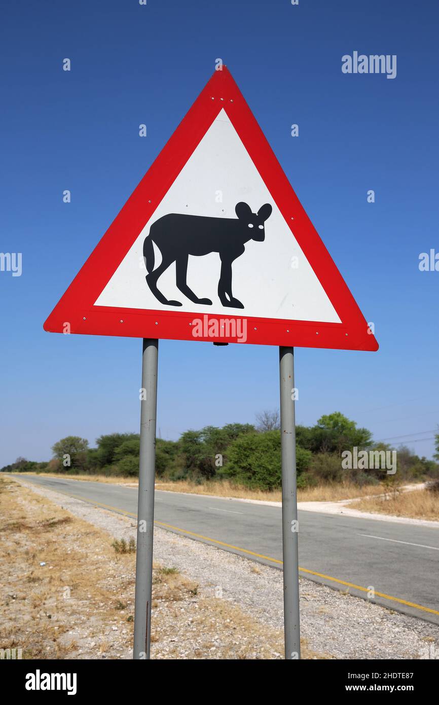 warning triangle, wild dog, warning triangles, wild dogs Stock Photo ...
