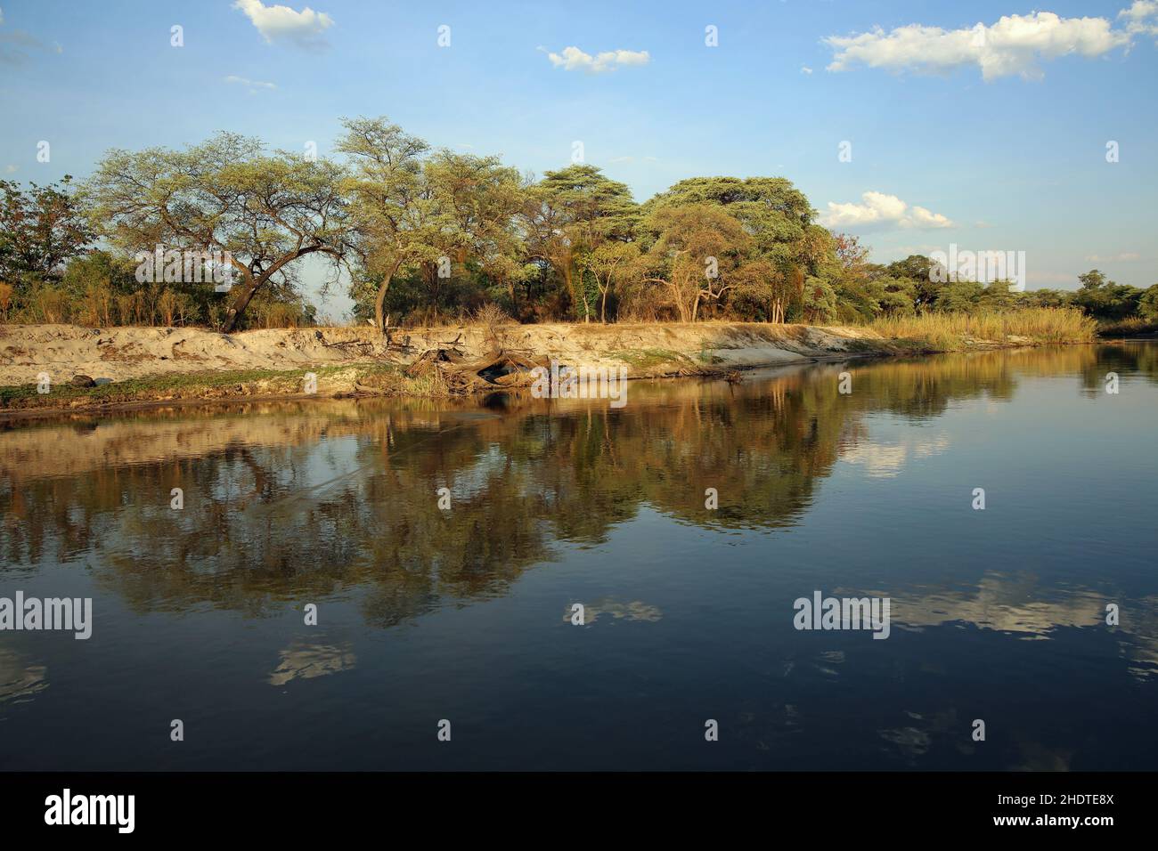 africa, Okavango Delta, african Stock Photo - Alamy