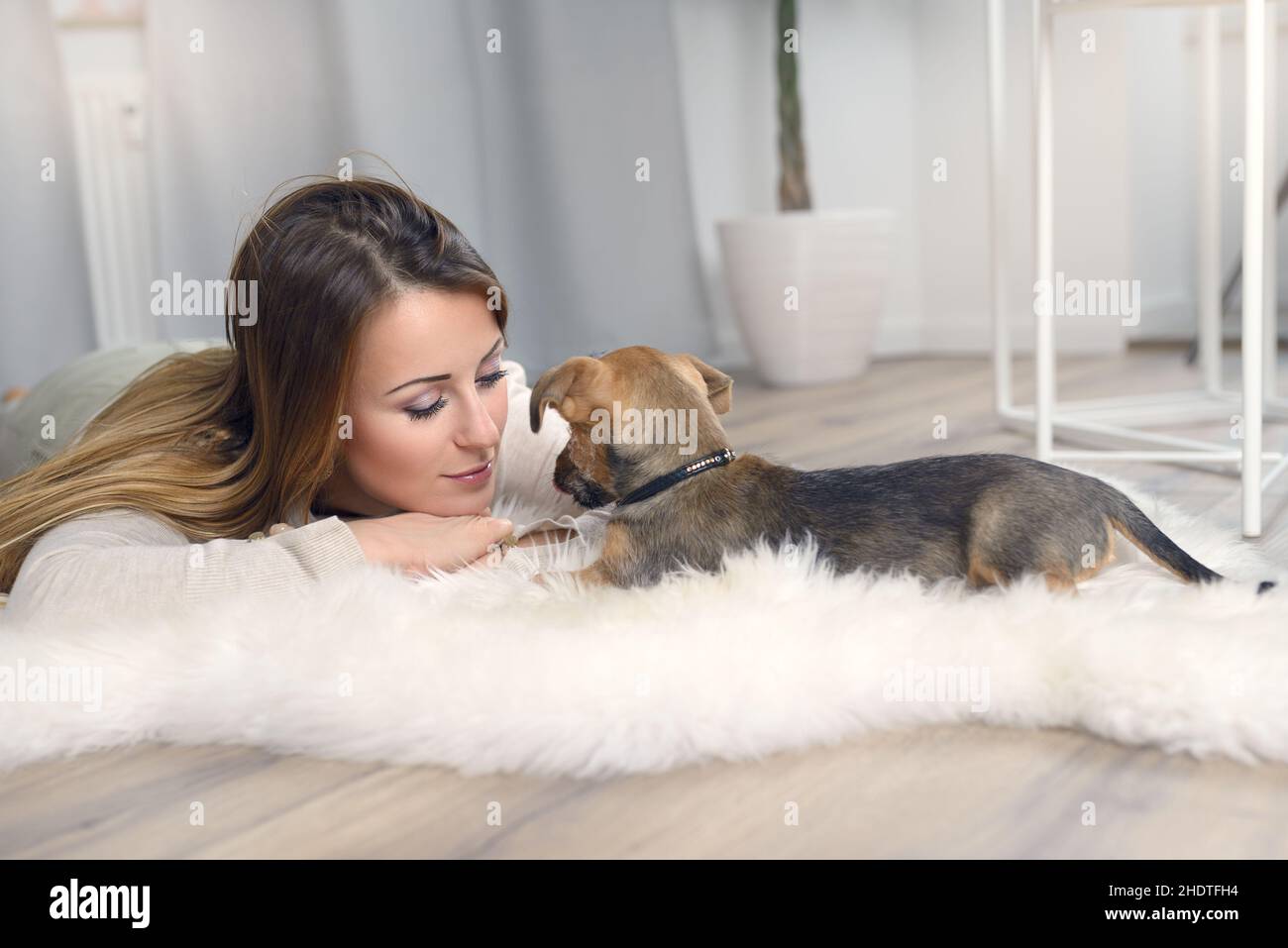 Cuddlies hi-res stock photography and images - Alamy